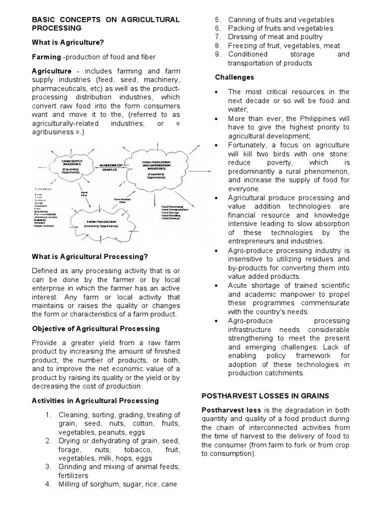 Basic Concepts On Agricultural Processing | PDF | Cereals | Grain