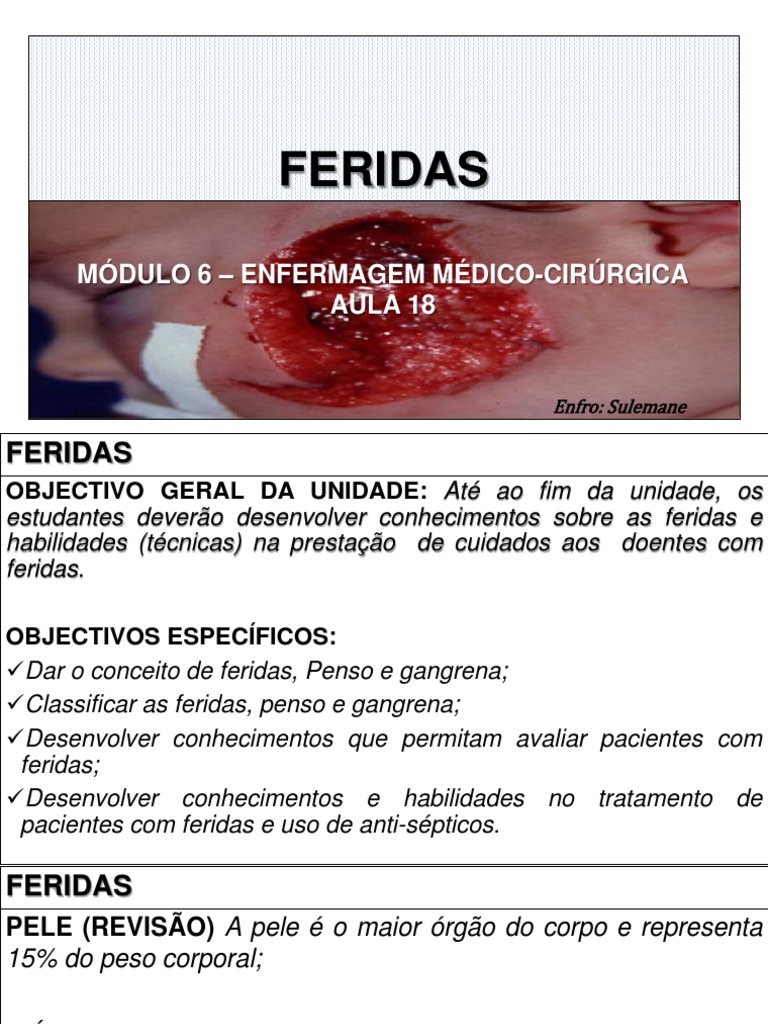 Aula 18 Feridas e Gangrena Actual | PDF | Pele | Inflamação