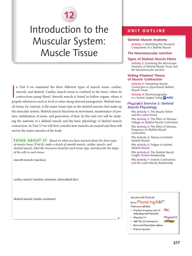 Lab Worksheet No. 7 Muscular System | PDF | Science & Mathematics