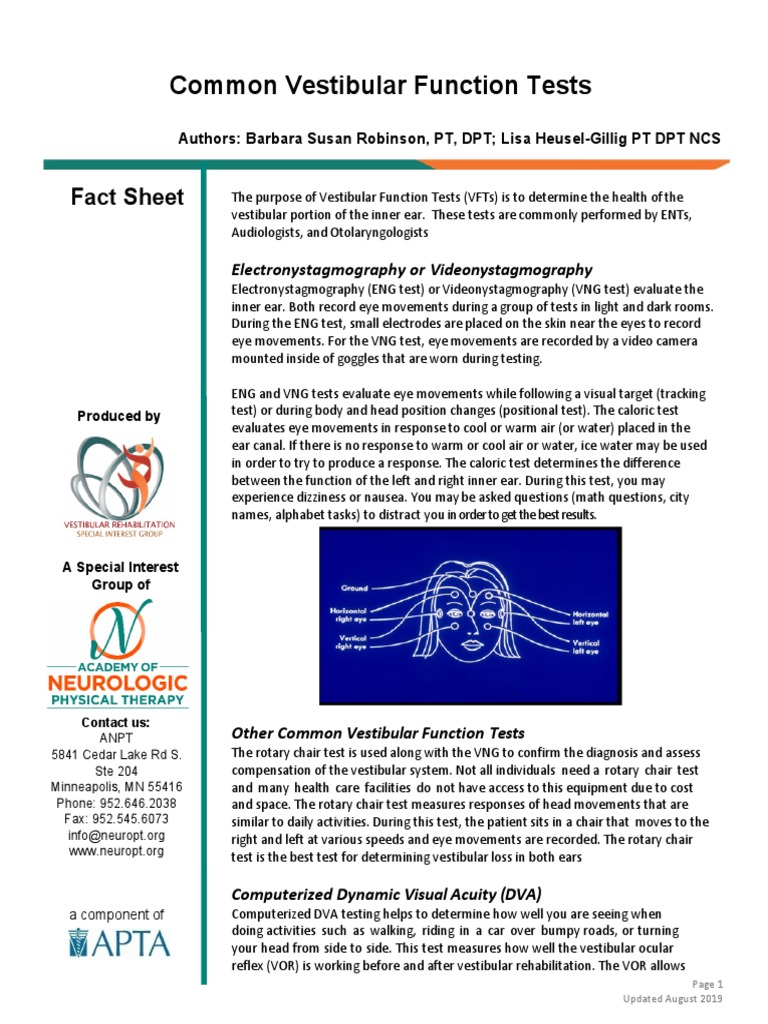 Assessment of Vestibular Function | PDF
