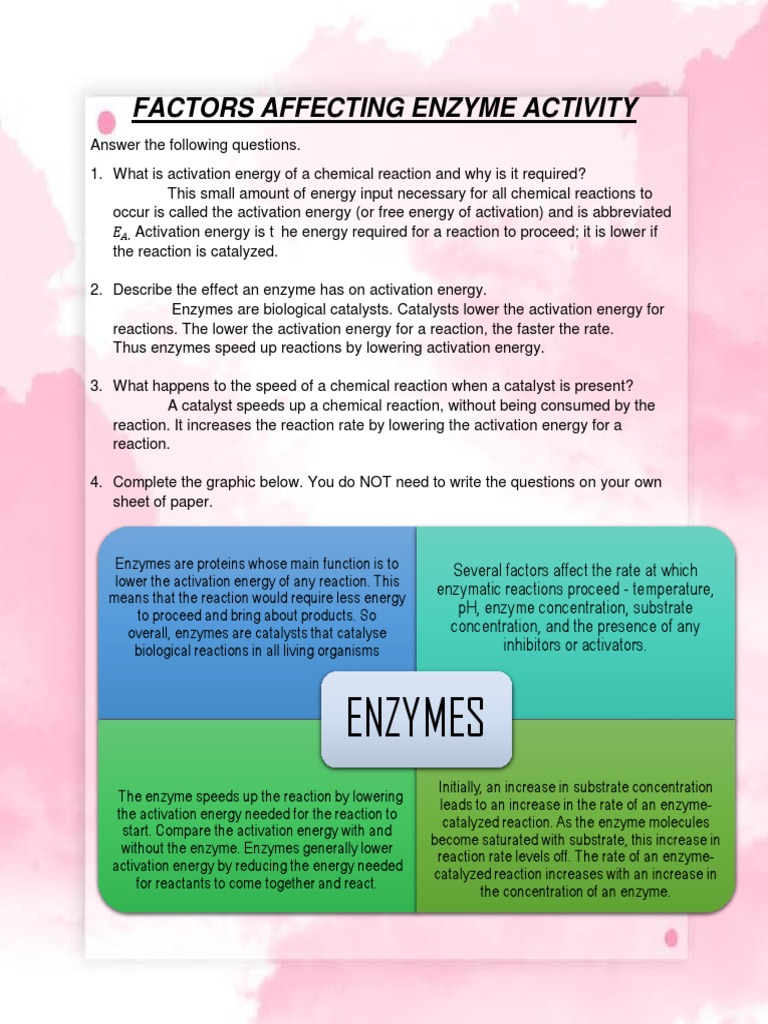 Factors Affecting Enzyme Activity | PDF | Enzyme | Catalysis