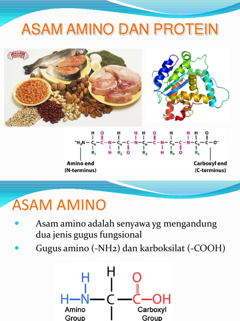 Asam Amino dan Struktur Protein | PDF
