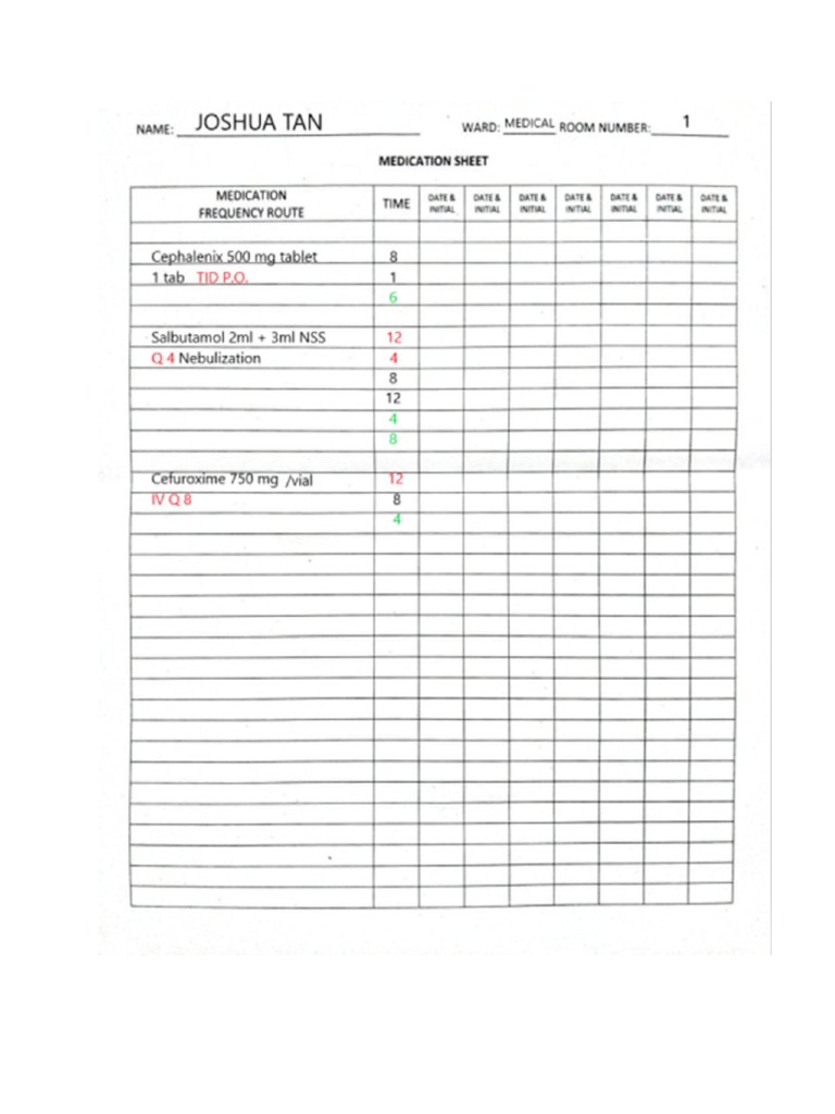 Sample Filled Up Medication Sheet | PDF