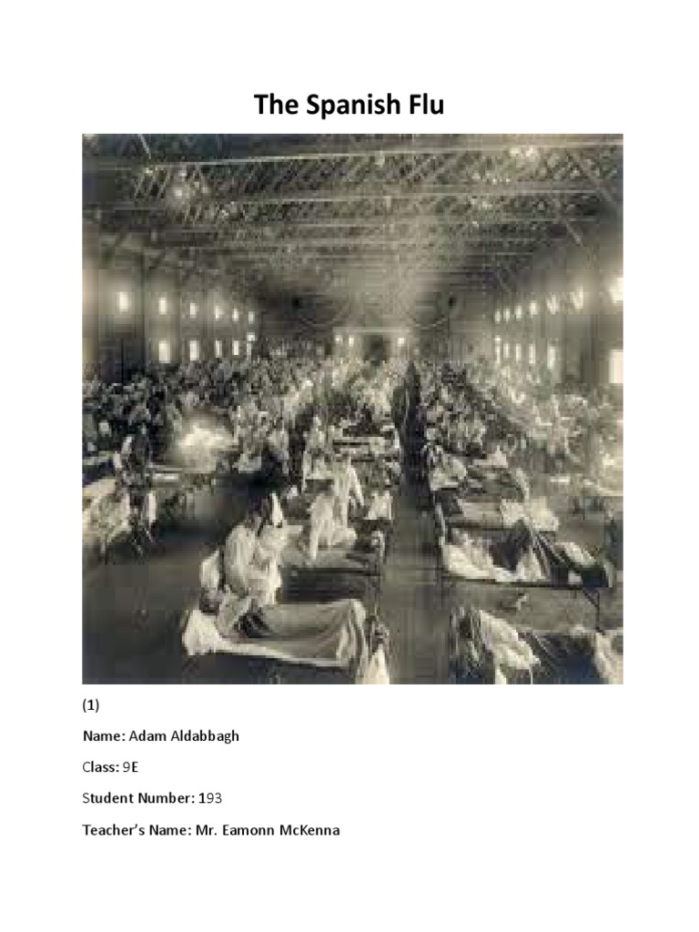 The Spanish Flu 1 | PDF | Influenza | Pandemic