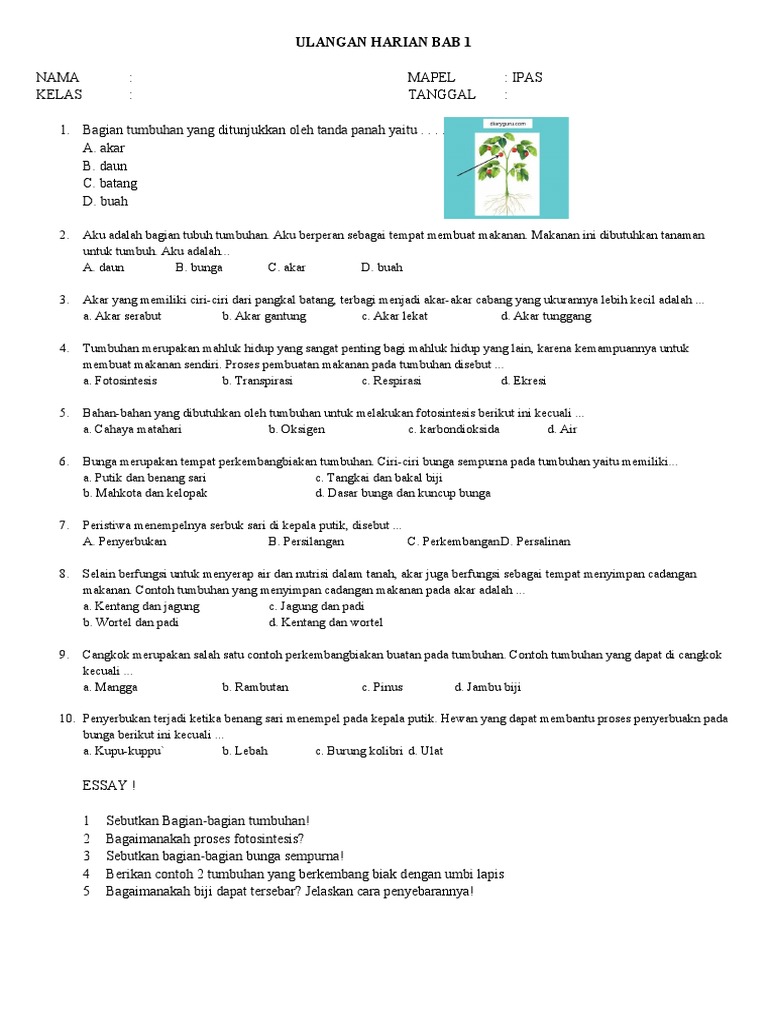 Soal Ulangan Harian IPAS Kelas 4 Bab 1 | PDF | Sains & Matematika