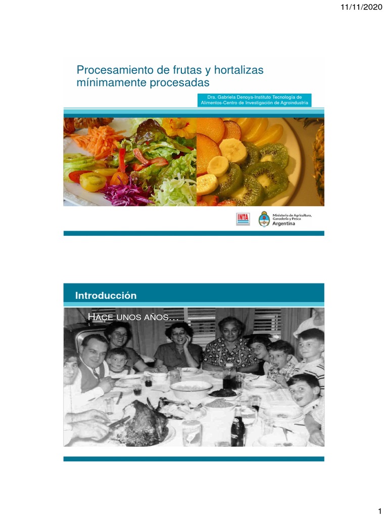 Procesamiento de Frutas y Hortalizas Mínimamente Procesadas - Dra ...