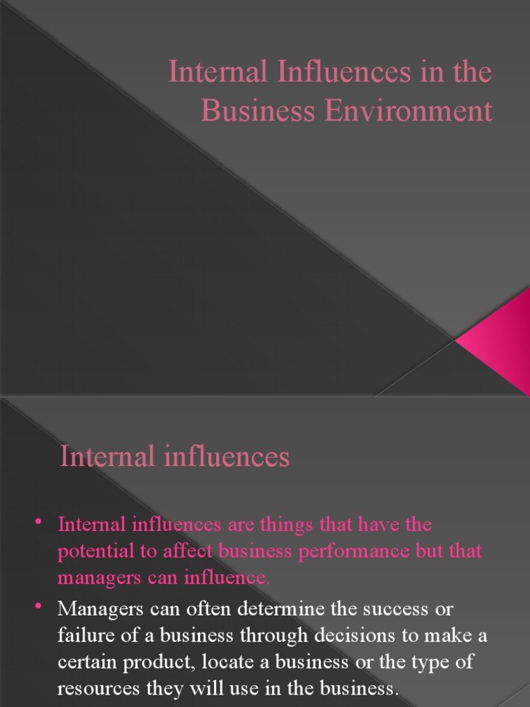 Internal Influences on Business Success | PDF | Finance & Money Management