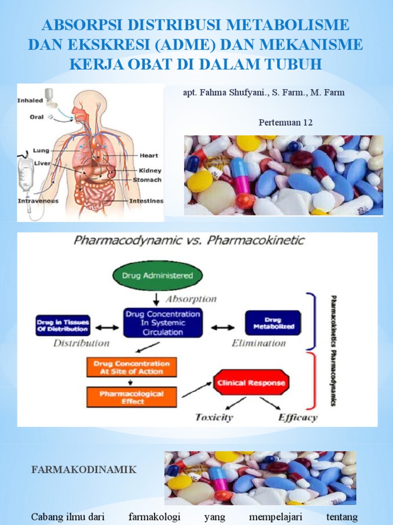 Pertemuan 12 Absorpsi, Distribusi, Metabolisme Ekskresi Dan Mekanisme ...