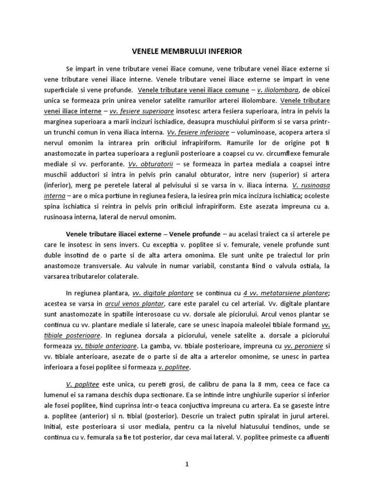 Venele Membrului Inferior! | PDF
