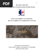 Các đối thủ cạnh tranh của Cocoon | PDF