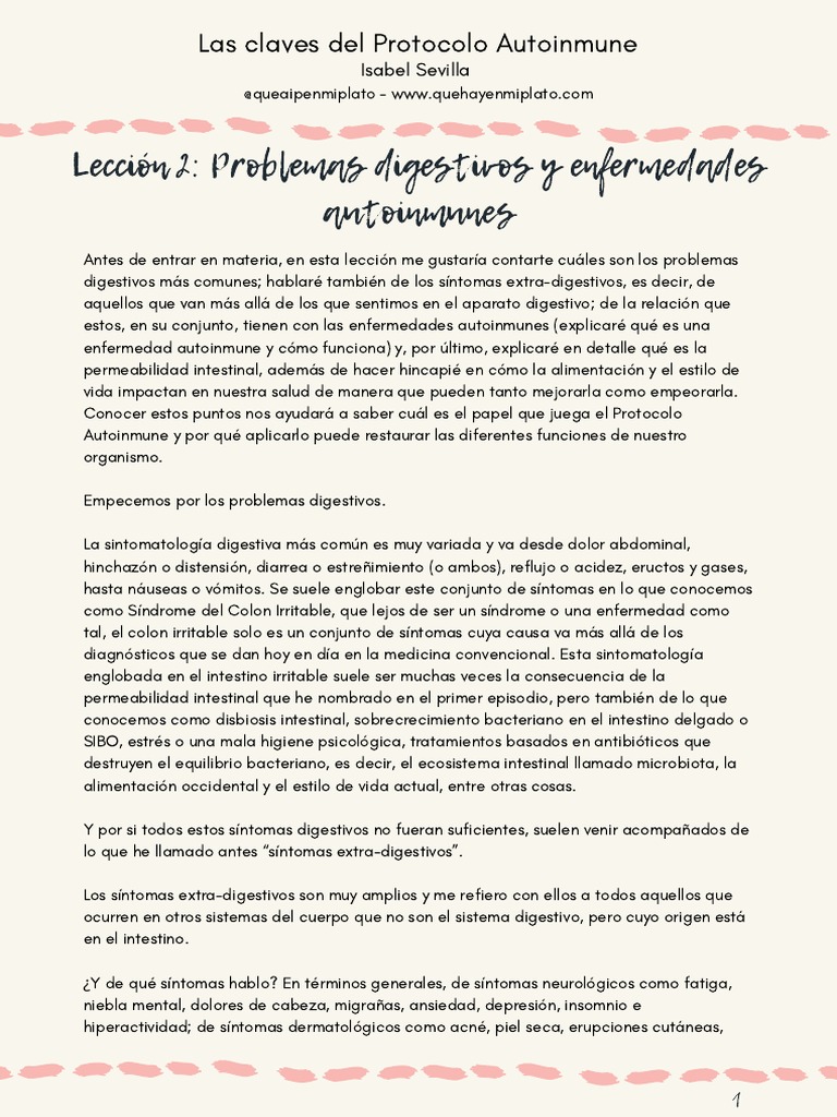 Lecci n+2 Las+claves+de+AIP | PDF