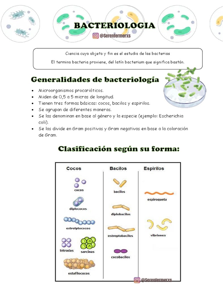 Bacterio Log I A | PDF