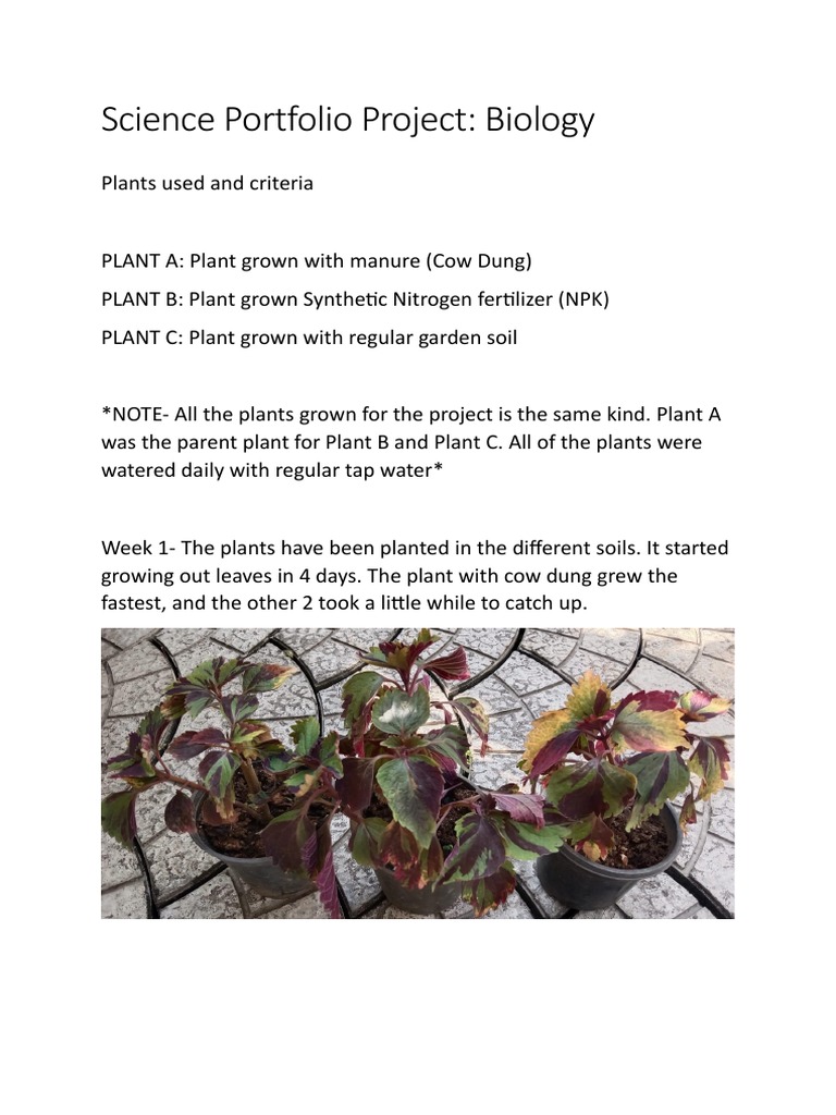 Science Portfolio Project - Jacob George 8B | PDF