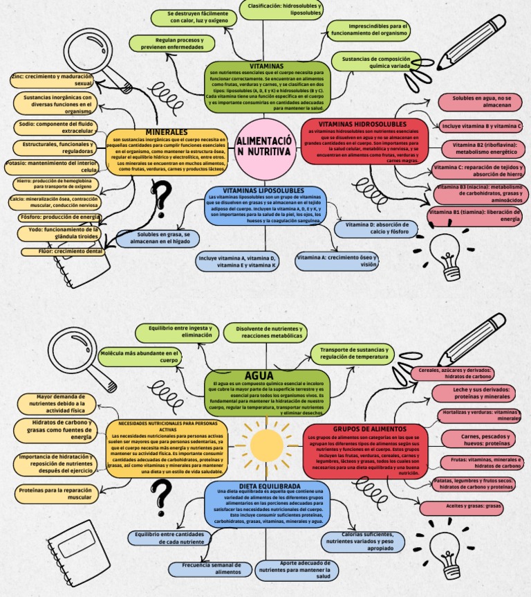 Brainstorming Esquema Doodle Multicolor | PDF | Dieta | Vitamina