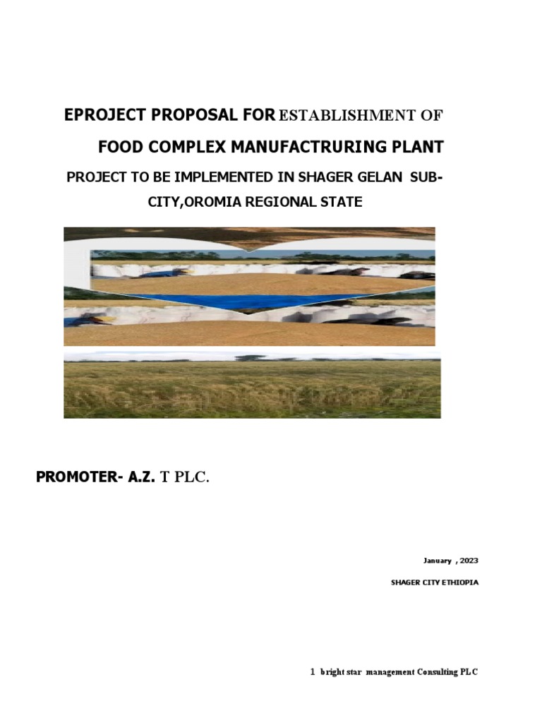 A.Z.T Food Complex | PDF | Pasta | Economic Growth