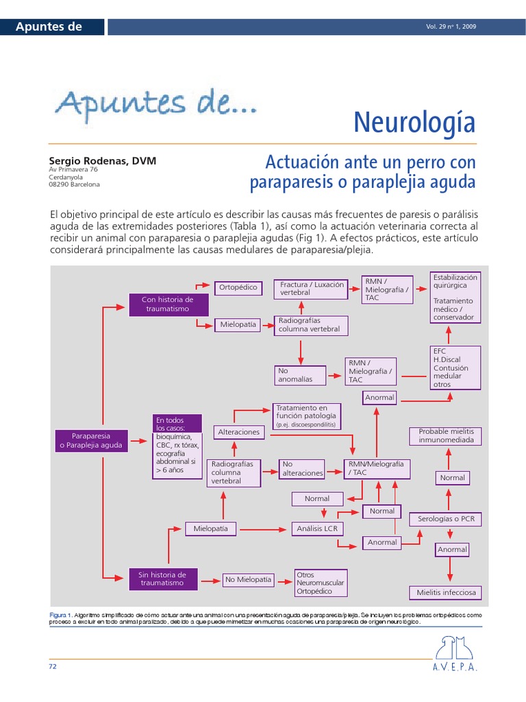 Manejo de paraparesia en perros | PDF