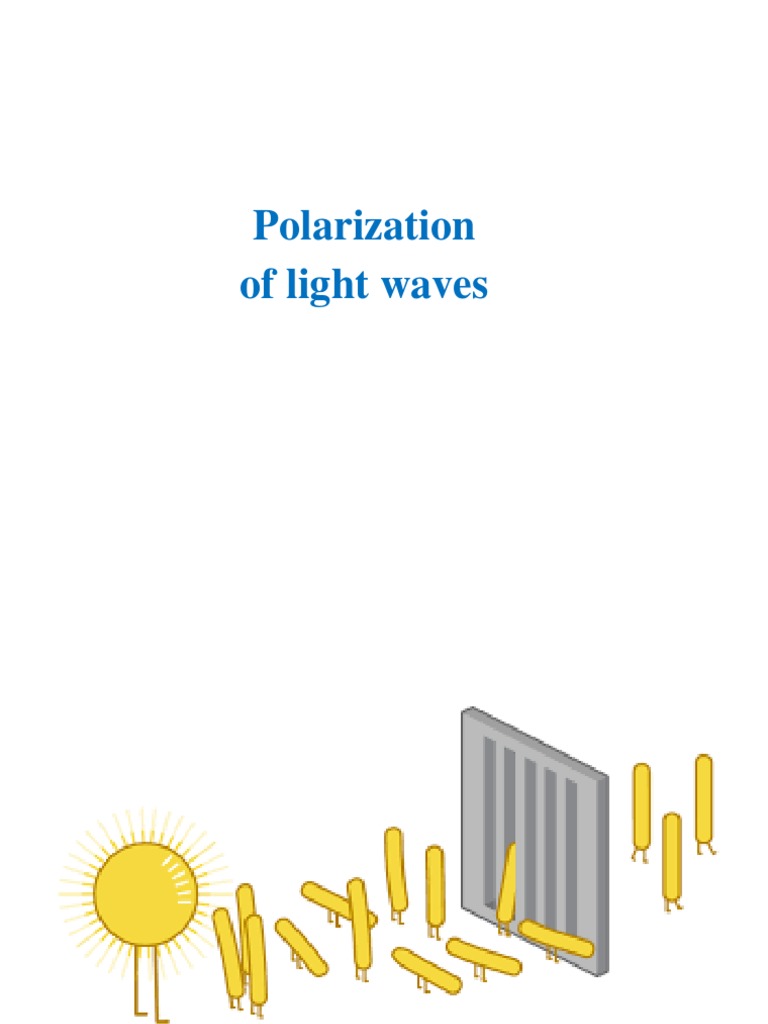 8 Polarization | PDF | Waves | Light