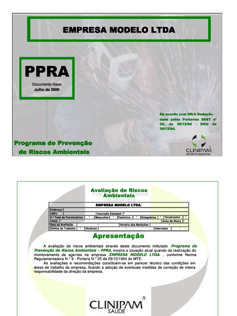 Modelo de Um Ppra Completo | PDF | Negócios