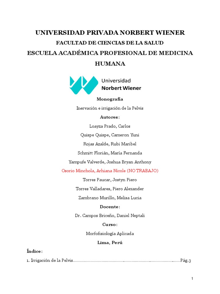 Seminario Semana 13 Morfo 2 | PDF | Pelvis | Vagina