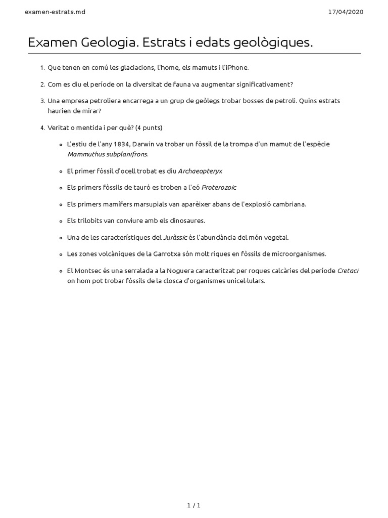 Examen Estrats | PDF