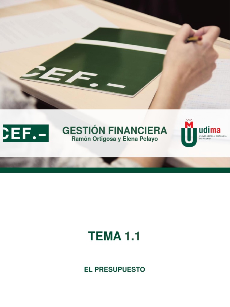 Cef. El Presupuesto. | PDF