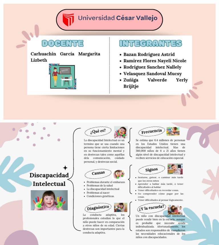 Cuadro Sinoptico Discapacidad Intelectual | PDF | Discapacidad intelectual | Invalidez