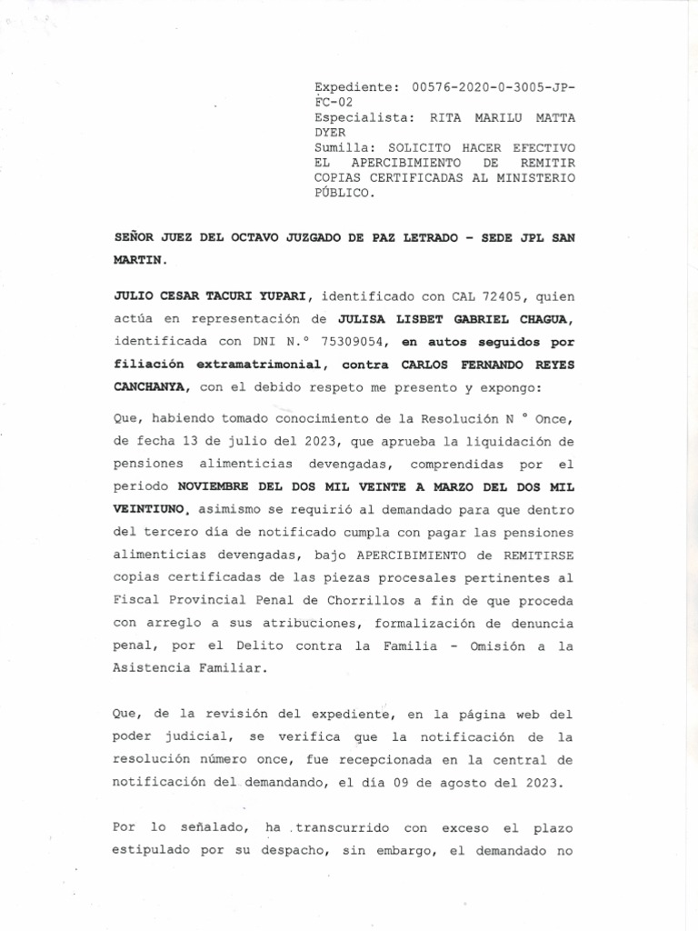 Remitir Copias Al Ministerio Público - Gabriel Chagua - Carlos Reyes | PDF