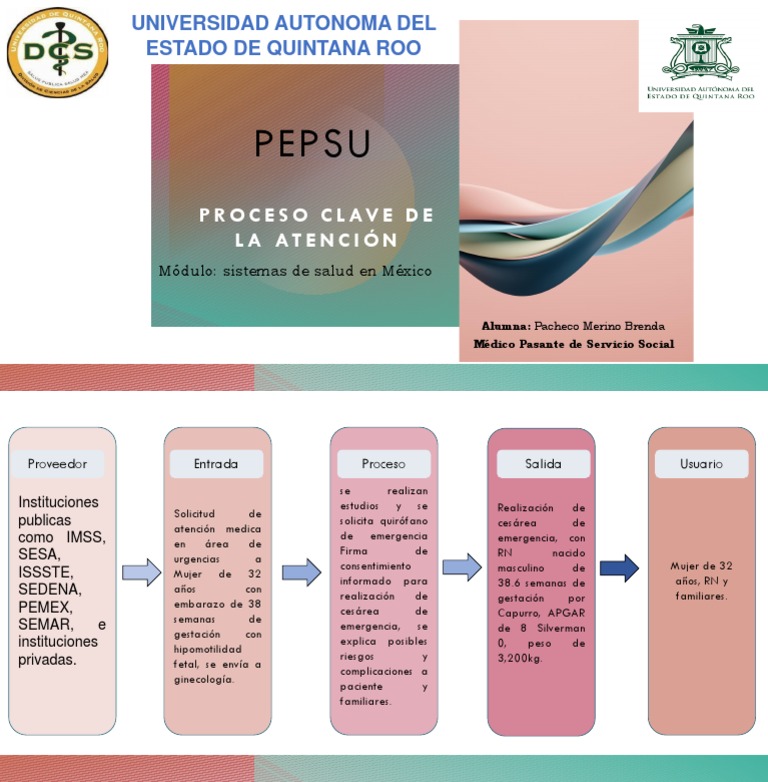 PEPSU | PDF