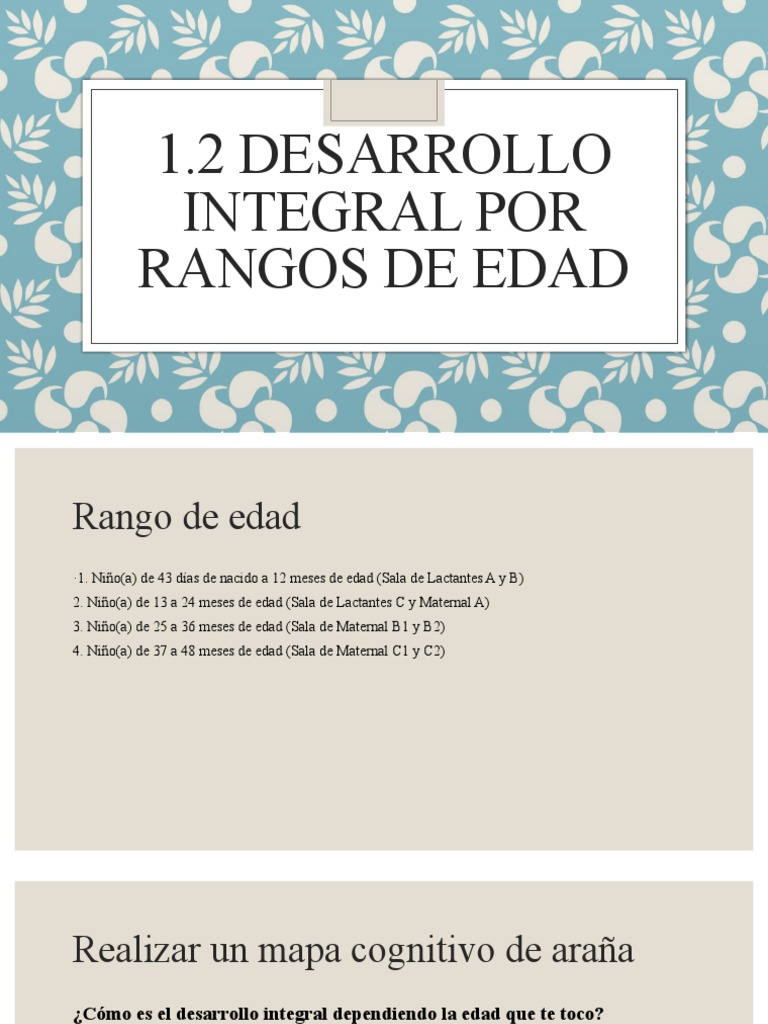 1.2 Desarrollo Integral Por Rangos de Edad | PDF