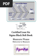 Lean Six Sigma Yellow Belt Project Examples | PDF | Six Sigma | Energy Management