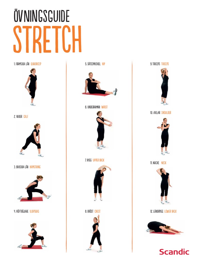 Scandic Gym Tip Stretch SV en | PDF