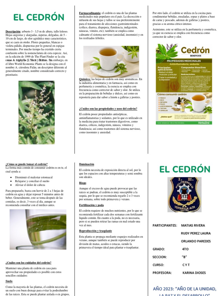 Triptico Del Cedron | PDF