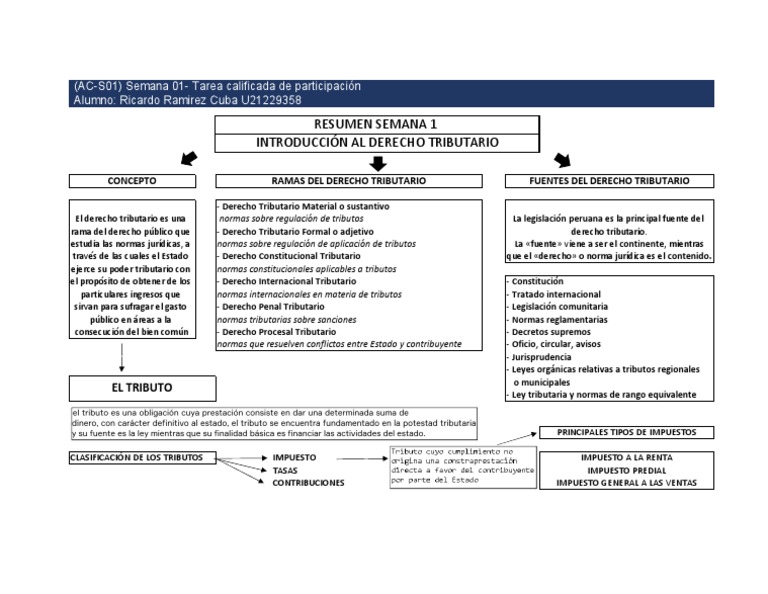 Tarea Semana 1 (PA) - Mapa Conceptual Resumen Semana 1 | PDF | Ley politica | Justicia