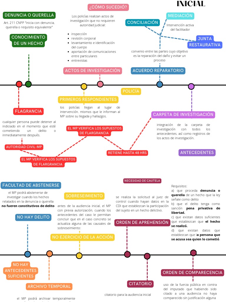 Investigación Inicial y Complementaria | PDF | Queja | Mandato