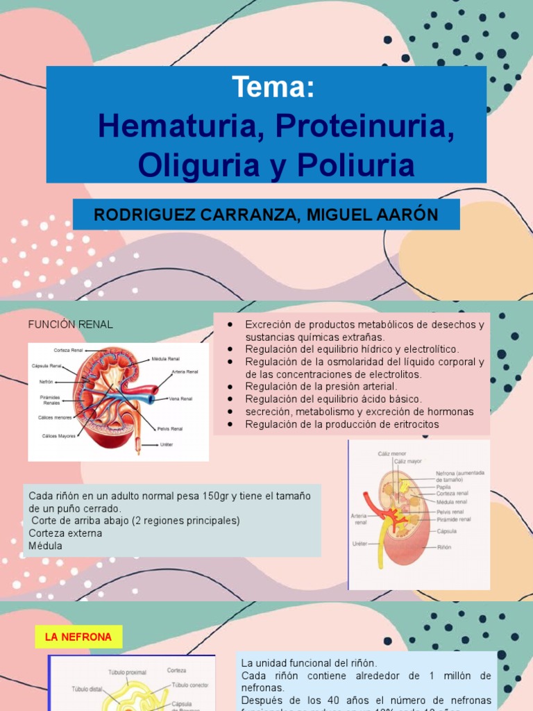 Hematuria, Oliguria y Poliuria: Definiciones | PDF | Relaciones ...