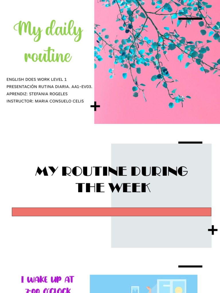 My Daily ROUTINE Level 1 | PDF