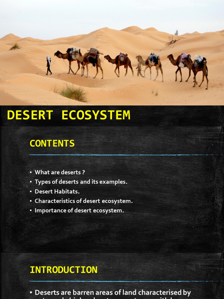 Desert Ecosystem | PDF