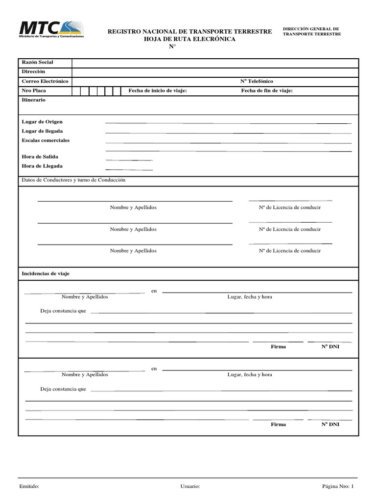 Formato en Blanco de Hoja de Ruta 2023 | PDF