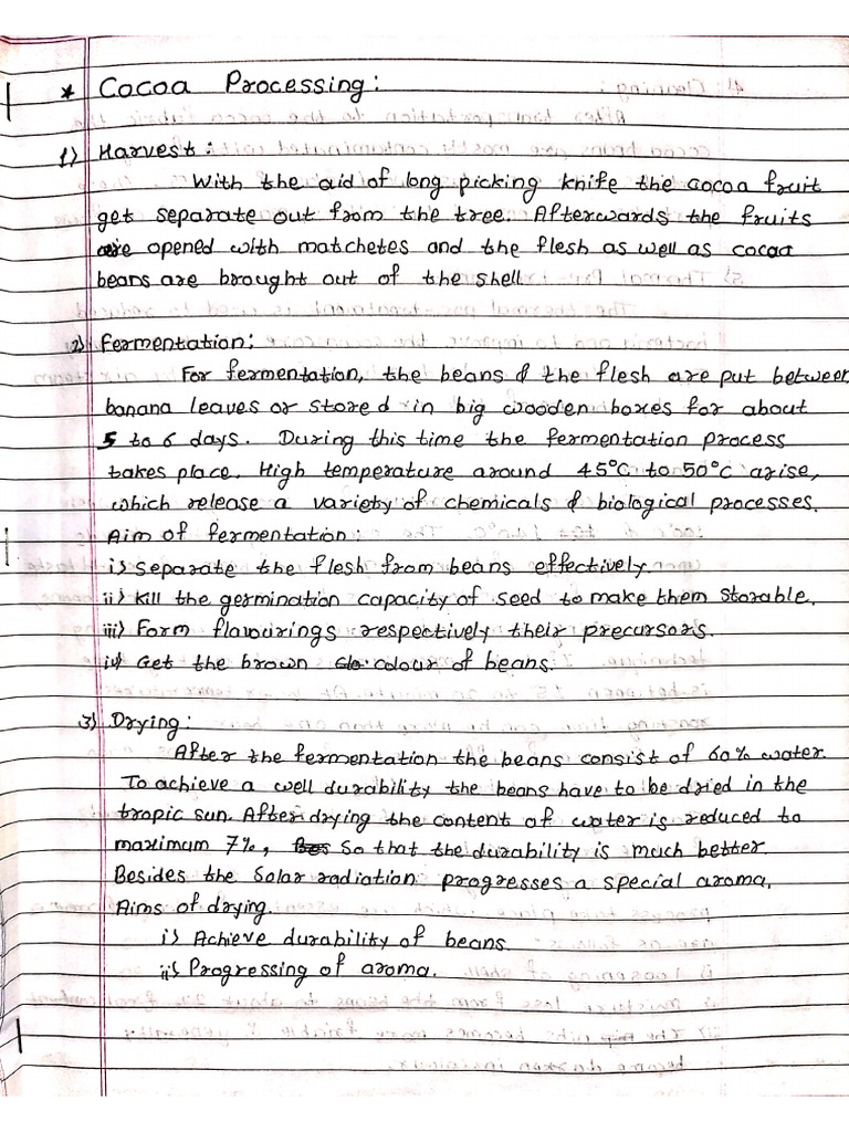 Chocolate Processing | PDF