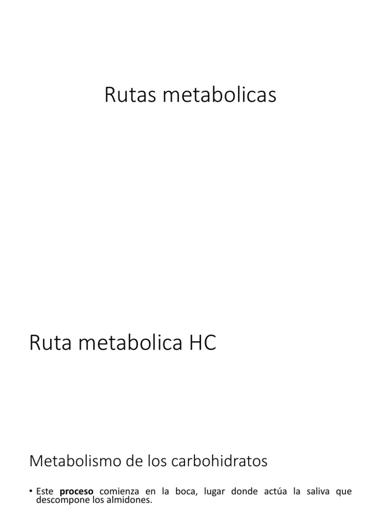 Rutas Metabolicas | PDF | Ciencias fisicas | Biología Celular