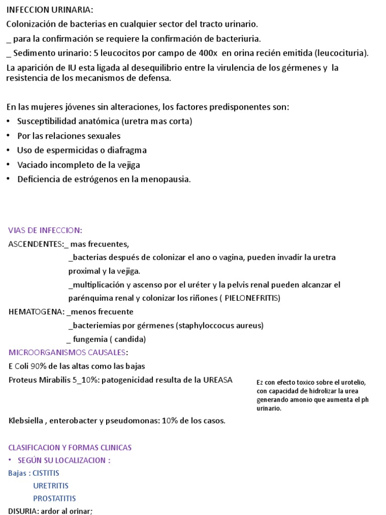 Infeccion Urinaria | PDF | Infección del tracto urinario ...