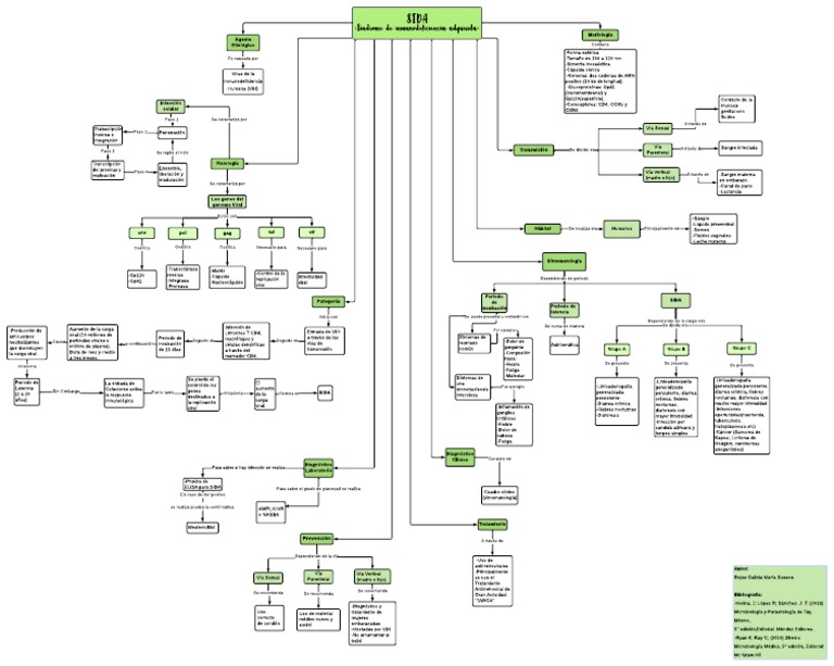 Mapa Conceptual SIDA | PDF | VIH | Virus