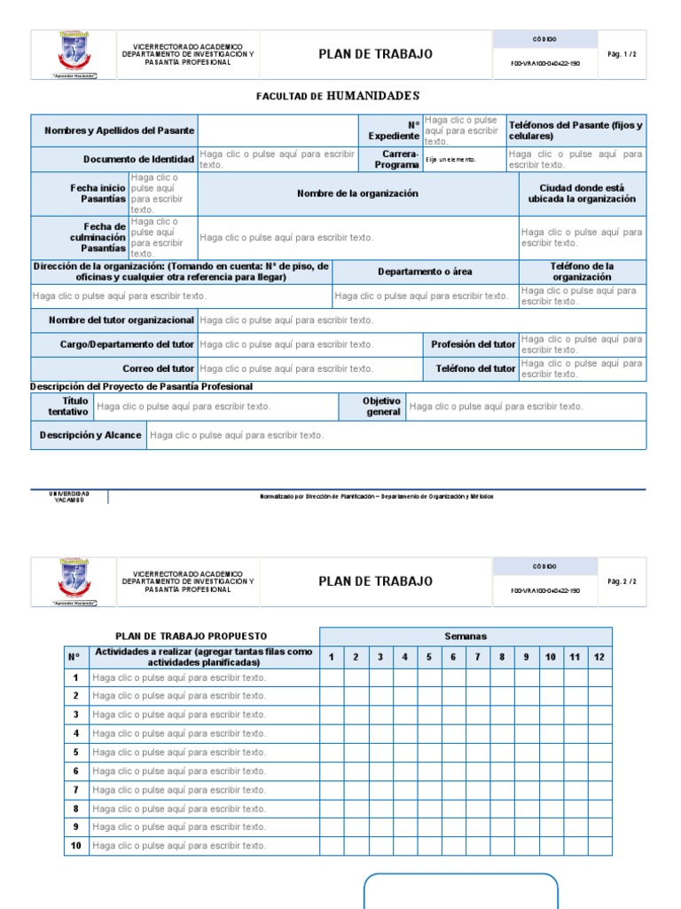 Plan de Trabajo para Pasantía Profesional | PDF | Informática