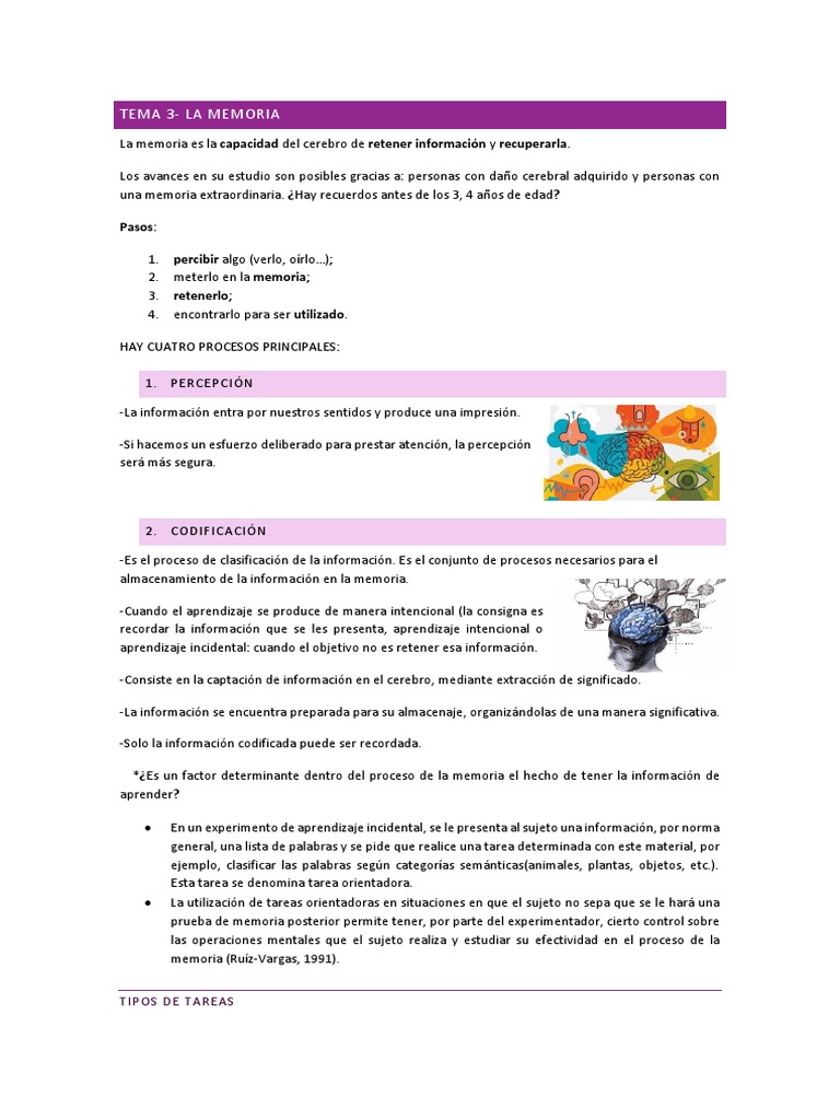 Tema 3 Psico | PDF | Memoria | Aprendizaje