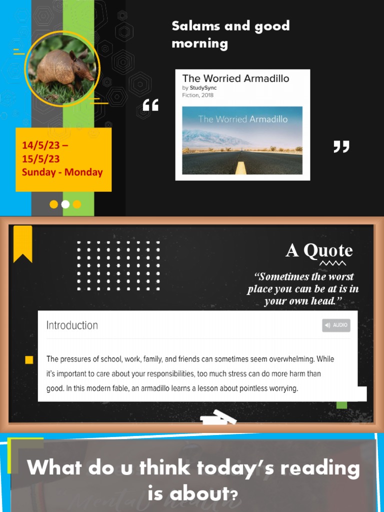 The Worried Armadillo | PDF