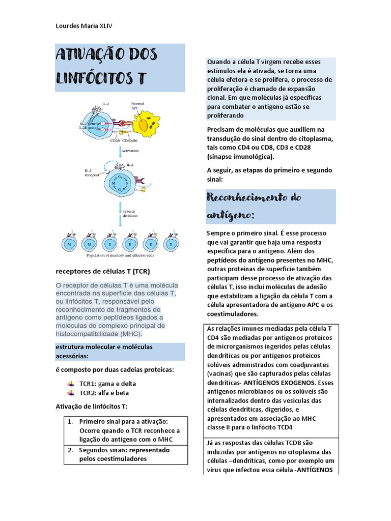 Aula 8 Imuno Ativação Dos Linfócitos T Pdf Célula T Citocina