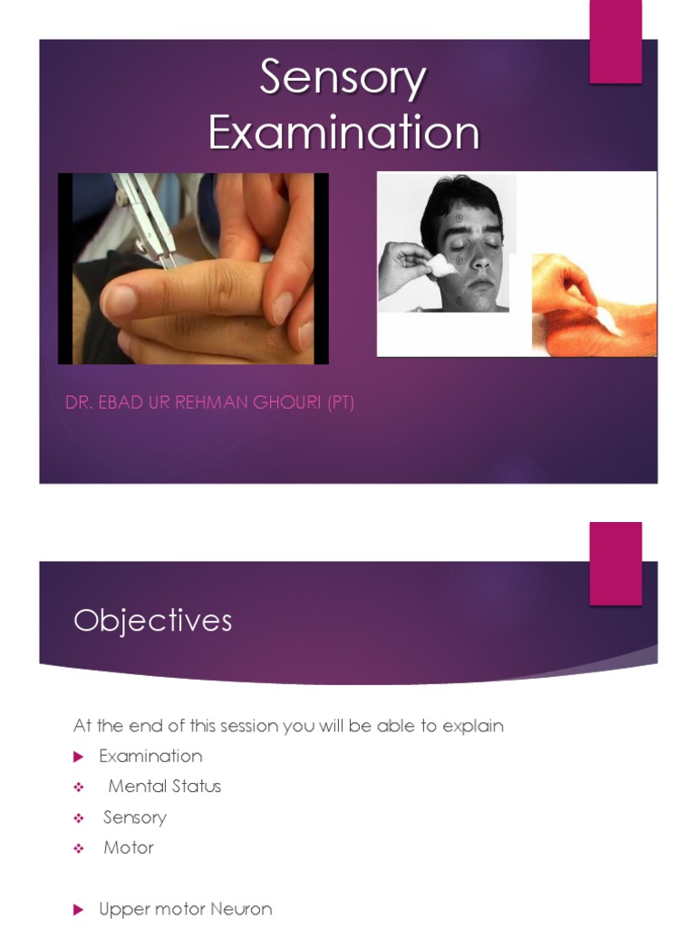 1 Sensory Examination in Neuromuscular Rehabilitation | PDF