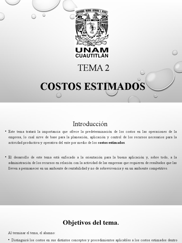 Tema 2 Costos Estimados | PDF