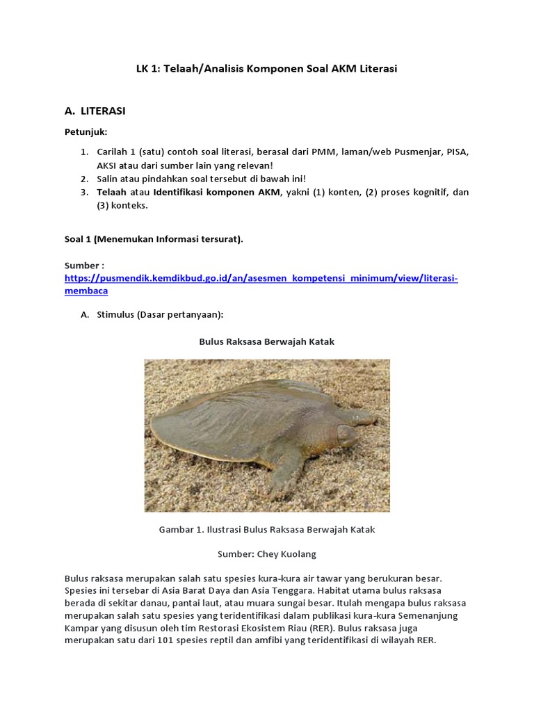 LK1 - Analisis Komponen AKM Literasi | PDF