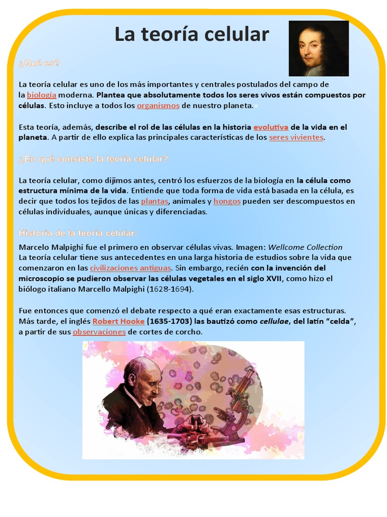 La Teoría Celular | PDF